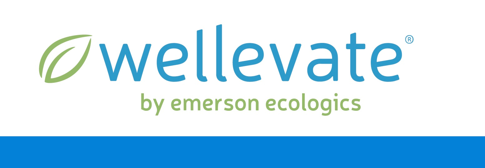 Wellevate - DavidSandstrom.com